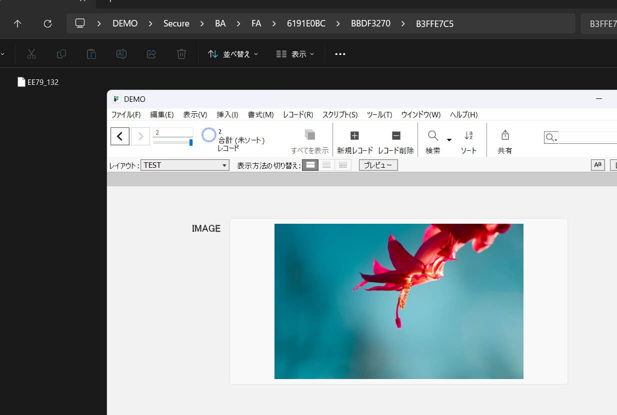 Claris FileMakerオブジェクトフィールドの外部保存について復習しよう - YWCのFileMaker（ファイルメーカー）情報 | YWCのFileMaker（ファイルメーカー）情報